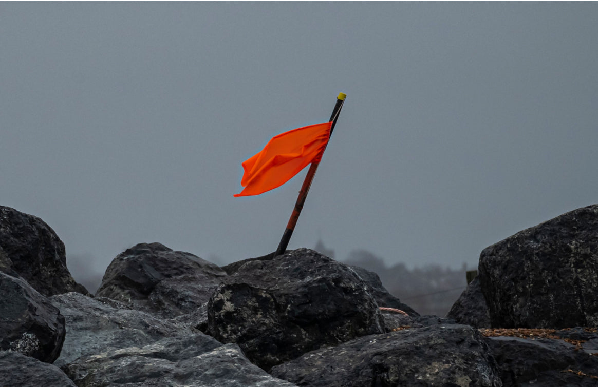 SEO Red Flags: Ranking Advice You Should Definitely Ignore – Mucky Puddle